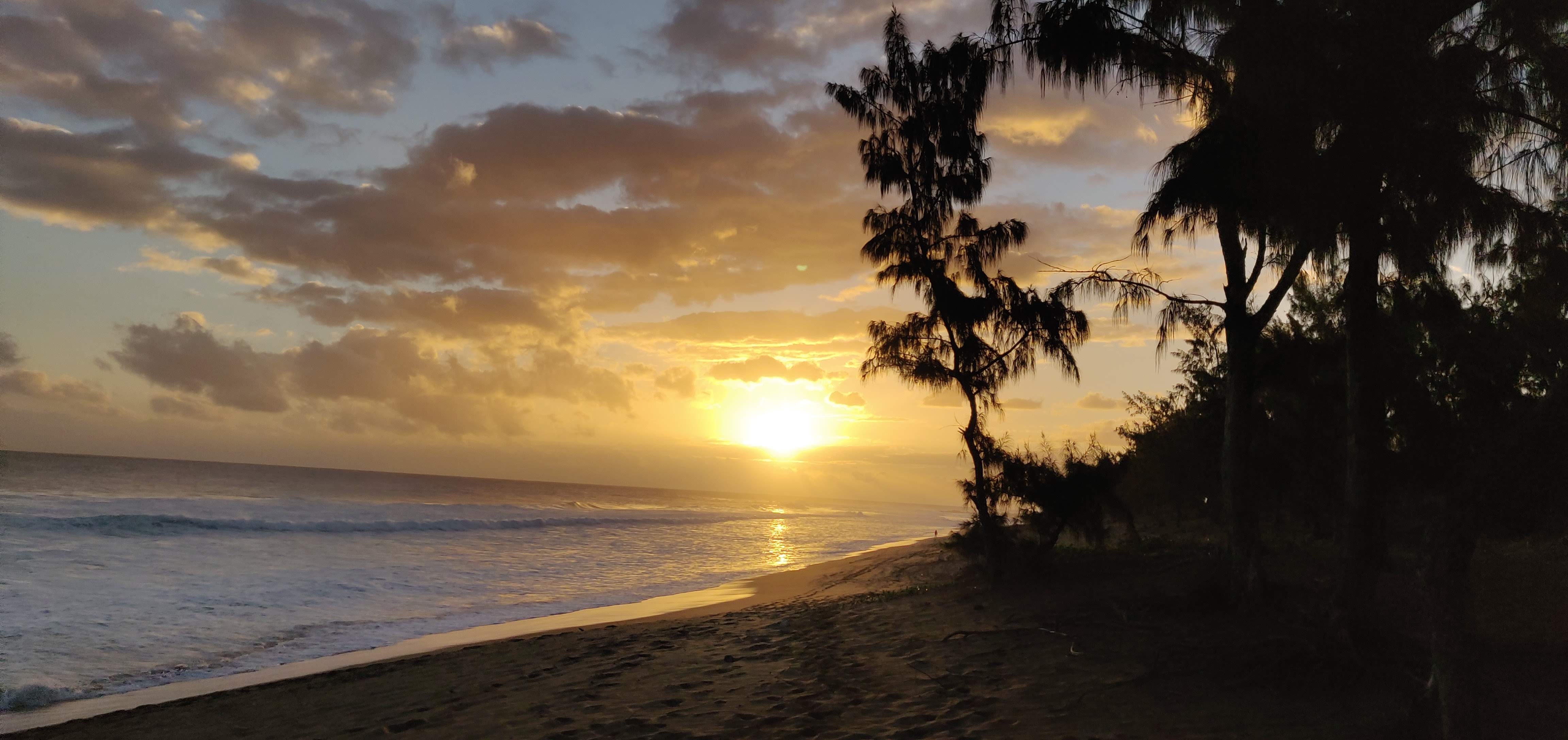 Réunion Sunset - EcoEvo@TCD
